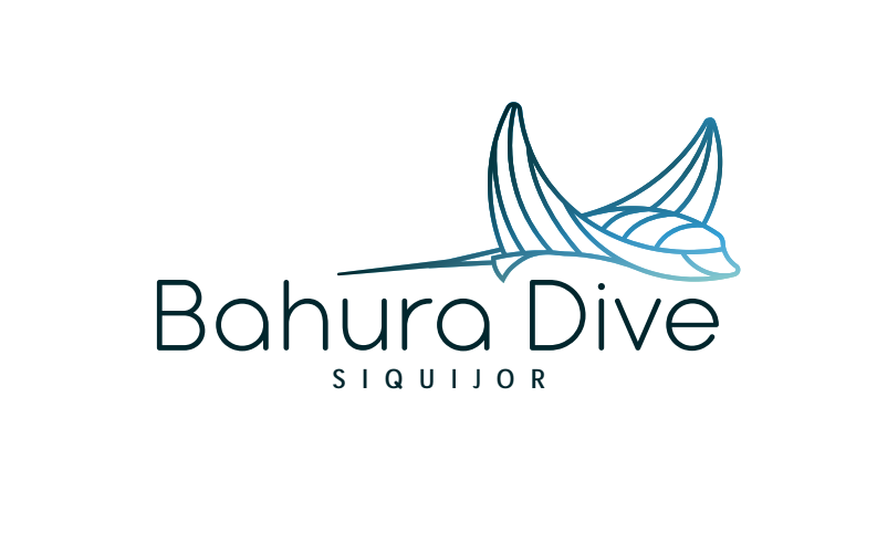 Underwater Photography | Siquijor, PH | Bahura Dive Siquijor