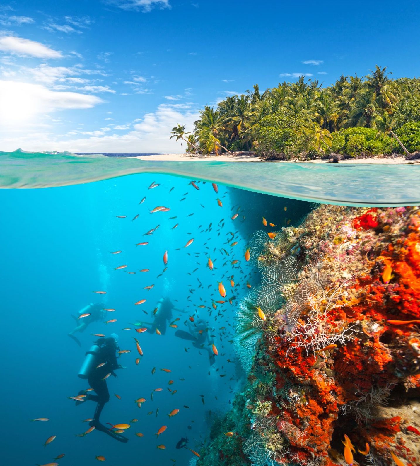 Top 10 Reasons to Scuba Dive in the Philippines - Bahura Dive